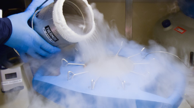 Egg freezing | Cambridge IVF